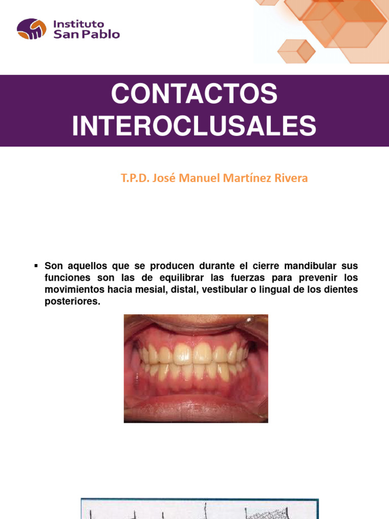 Sesion 8 Oclusión - CONTACTOS INTEROCLUSALES | PDF | Anatomia dental ...