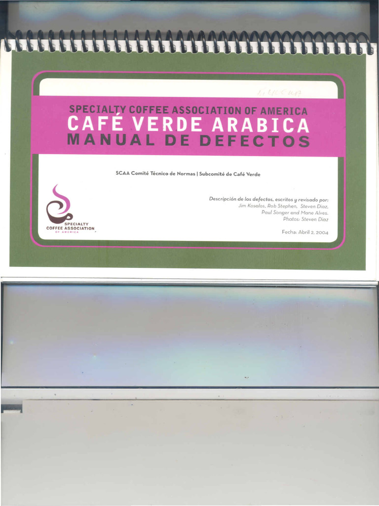 Libro de Defectos de SCAA | PDF