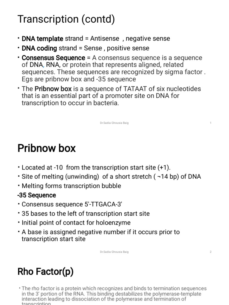 Lec 3 Mam Sadia | PDF | Messenger Rna | Directionality (Molecular Biology)