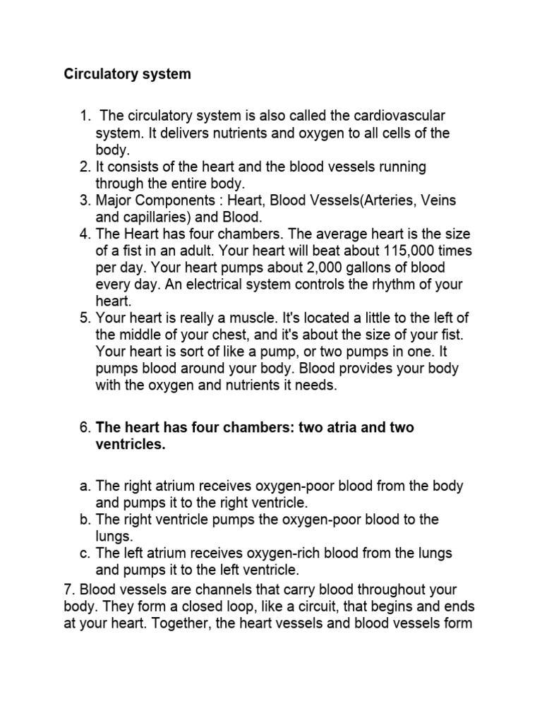 Circulatory System | PDF