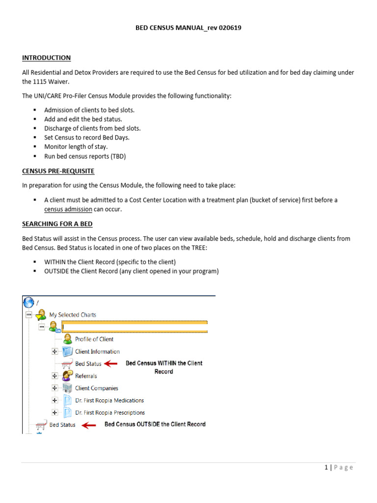 Bed Census Manual Rev February 2019 | PDF | Computing | Software