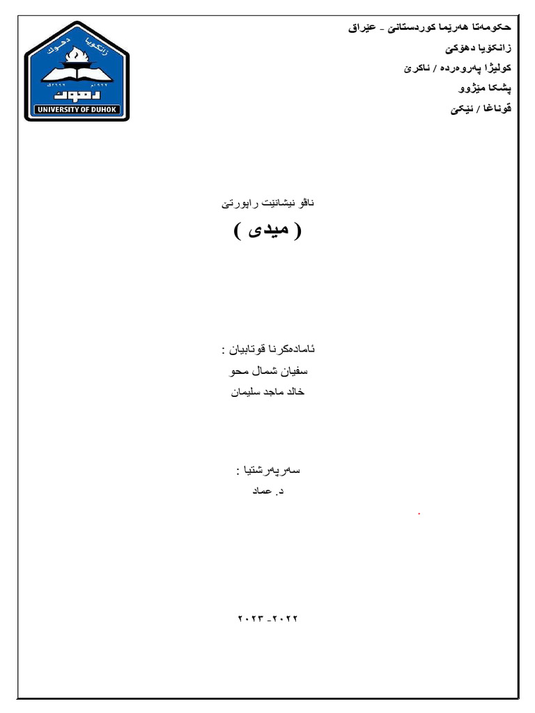 Report Rayan Done | PDF