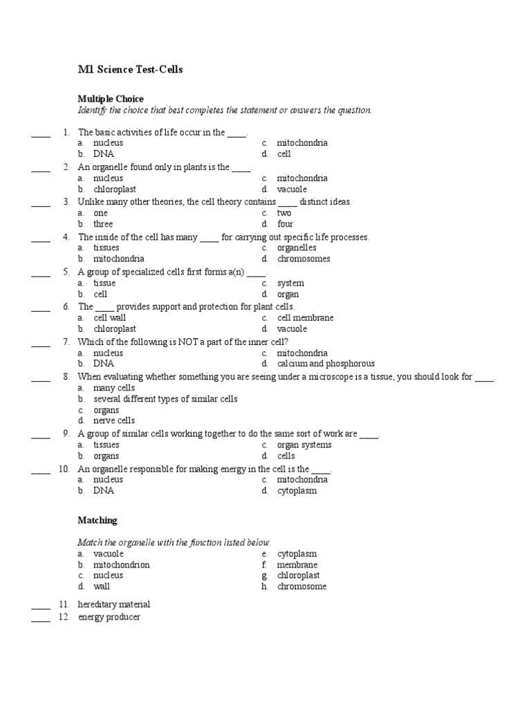 M1 Science Cells Test Questions | PDF