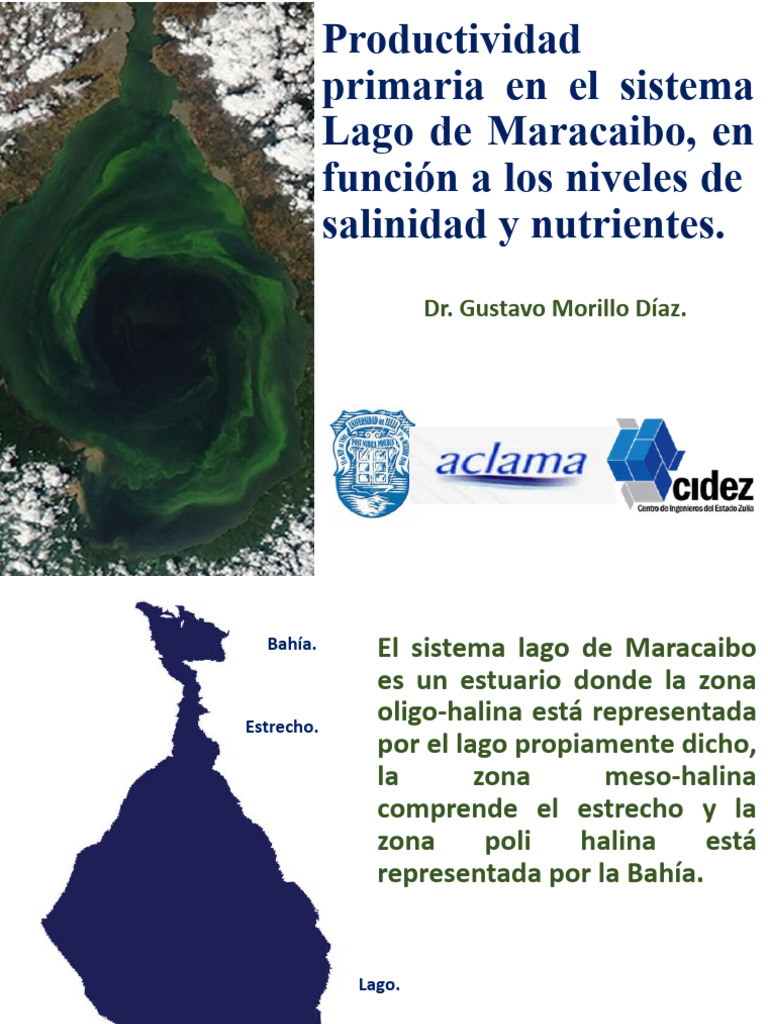 Eutrofización en el Lago de Maracaibo | PDF | lago | Eutrofización