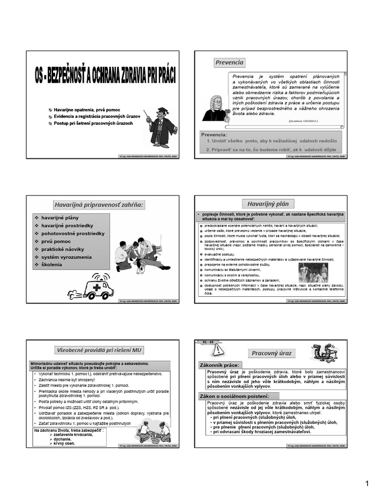 5-BOZP-prednáška 2020 - PÚ | PDF