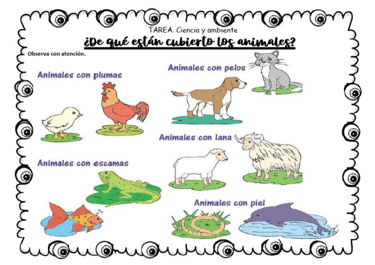 De Que Estan Cubiertos Los Animales II - Miss Elizabeth v Prekinder | PDF