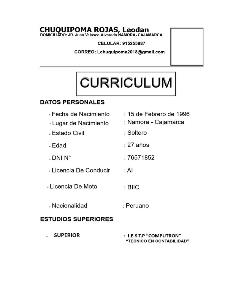 CV Leo-Chuquipoma | PDF