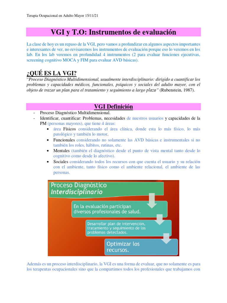 PDF Tipeo VGI 15-11-21 | PDF | Terapia ocupacional | Vejez