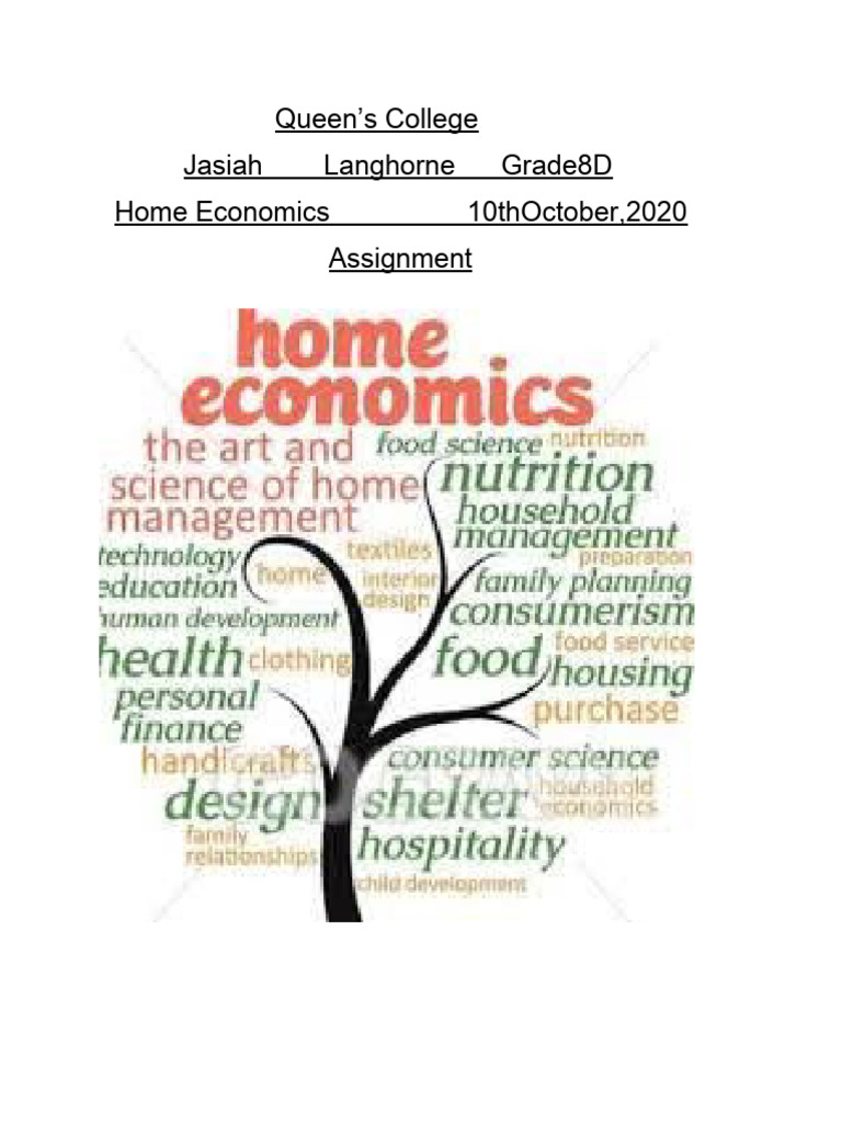 Home Economics | PDF | Adolescence | Parenting