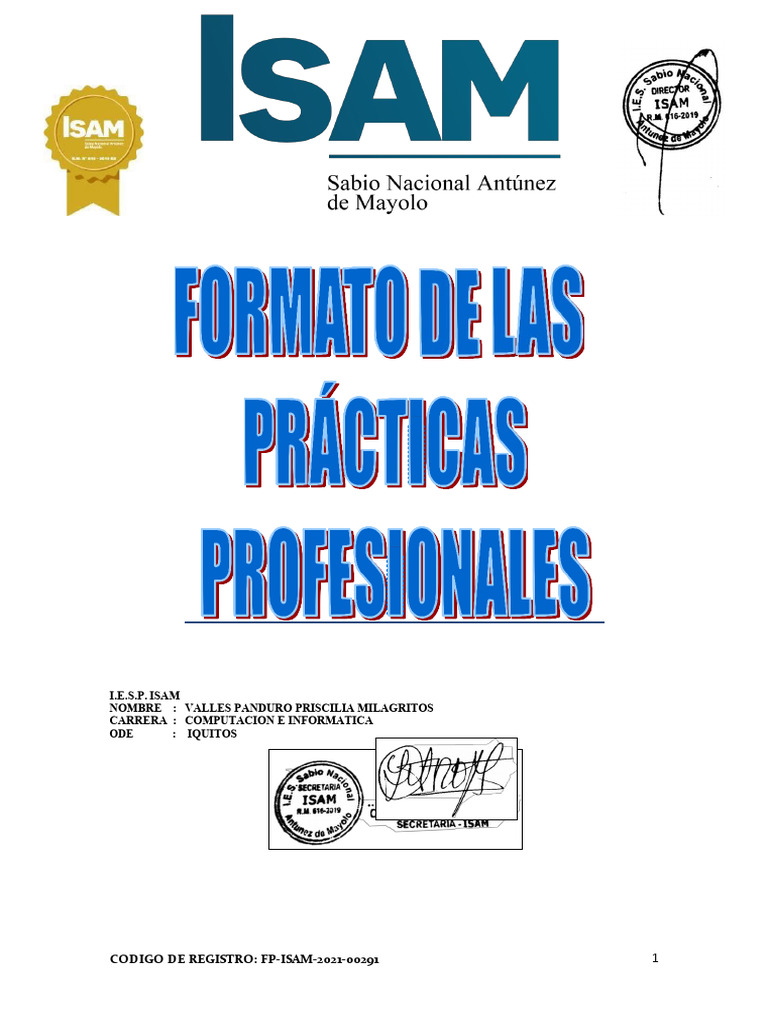 Codigo de Registro: Fp-Isam-2021-00291 | PDF