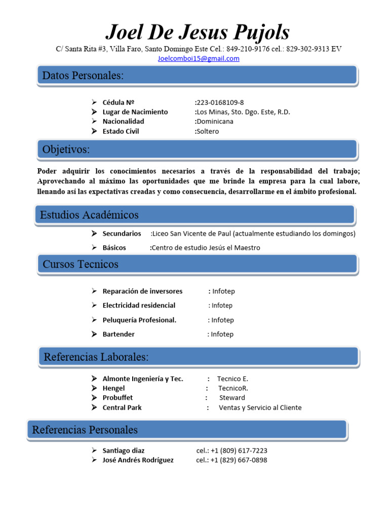 Currículum Editable | PDF