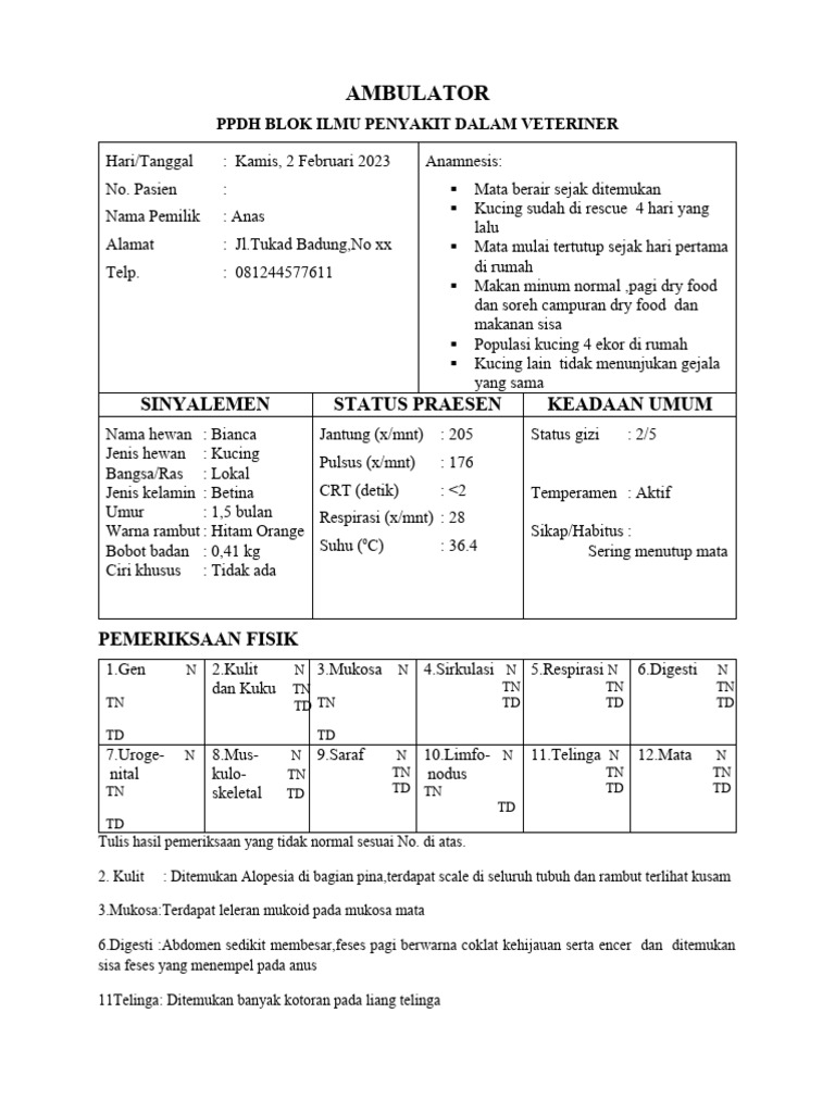 Ambulator Bianca - Konjungtivitis - Dok Sisya | PDF | Pengembangan Diri ...