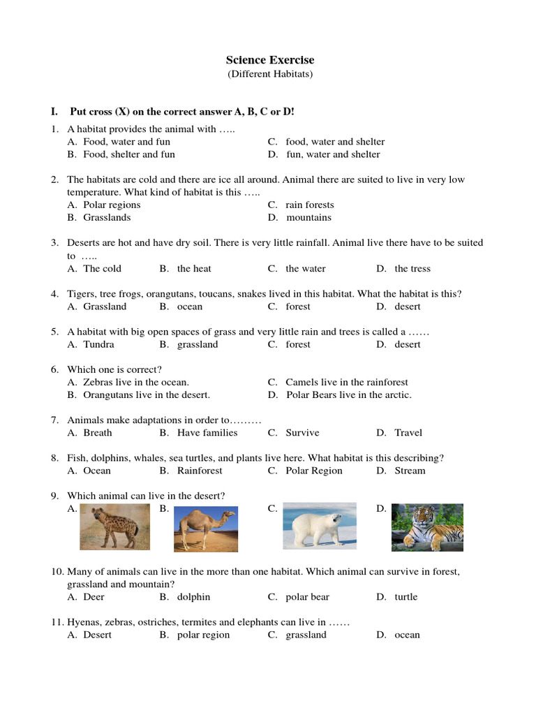 Science HABITAT | PDF | Habitat | Desert
