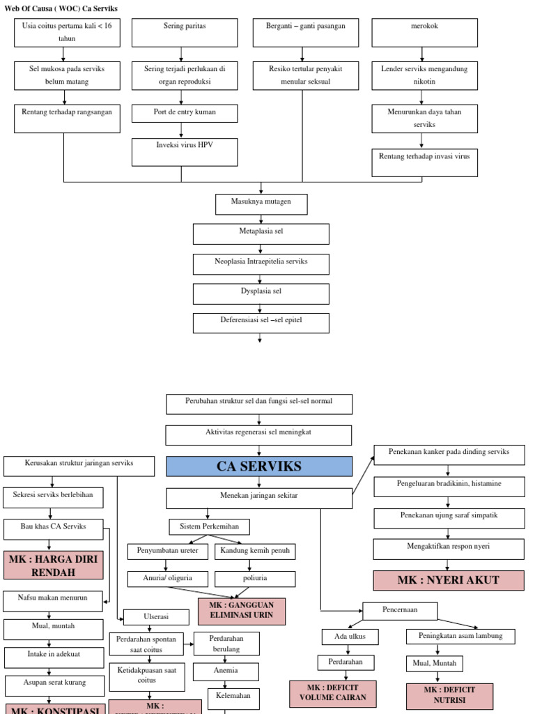Woc Kanker Serviks | PDF