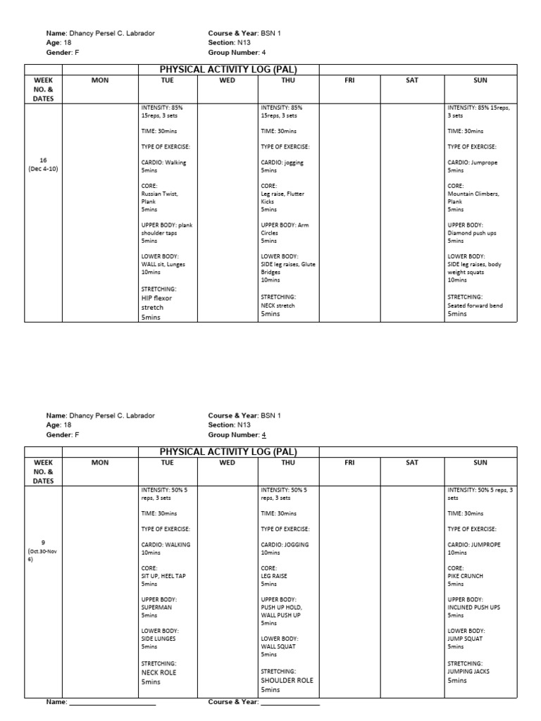 Example Physical Activity Log Per Week Labrador | PDF | Aerobic ...