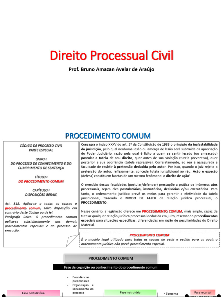 Procedimento Comum.-1 | PDF