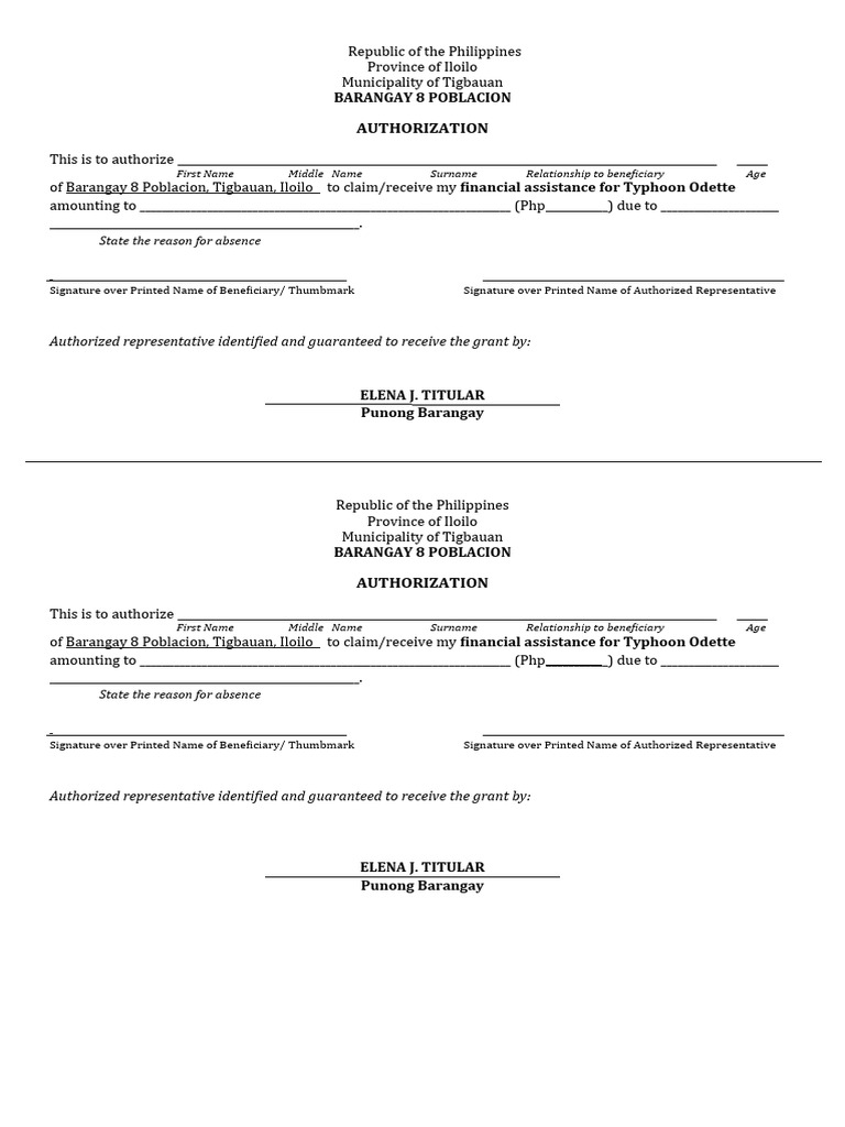 Authorization - DSWD | PDF | Social Science