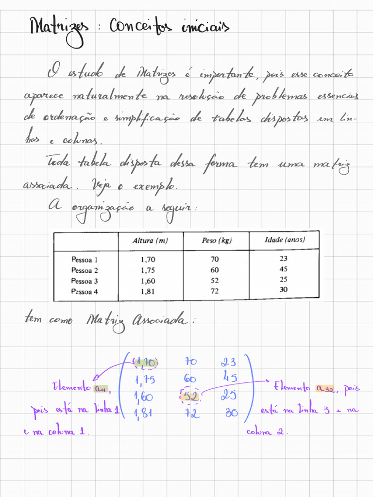 Álgebra Linear (Base Introdutória) | PDF