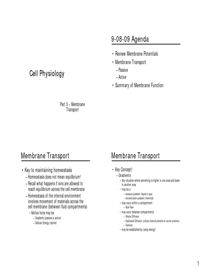 Membrane Transport Lecture | PDF | Cell Membrane | Diffusion