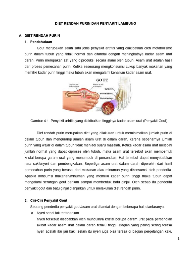 4 Diet Rendah Purin Dan Lambung | PDF