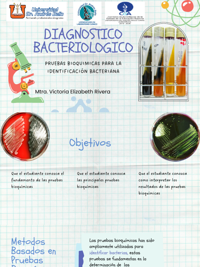 Pruebas Bioquimicas para Laidentificación Bacteriana | PDF | Las bacterias | Urea