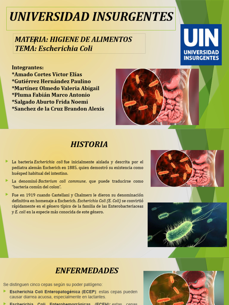 Expo - Bacteria - Equipo 4 | PDF | Escherichia coli | Salud pública