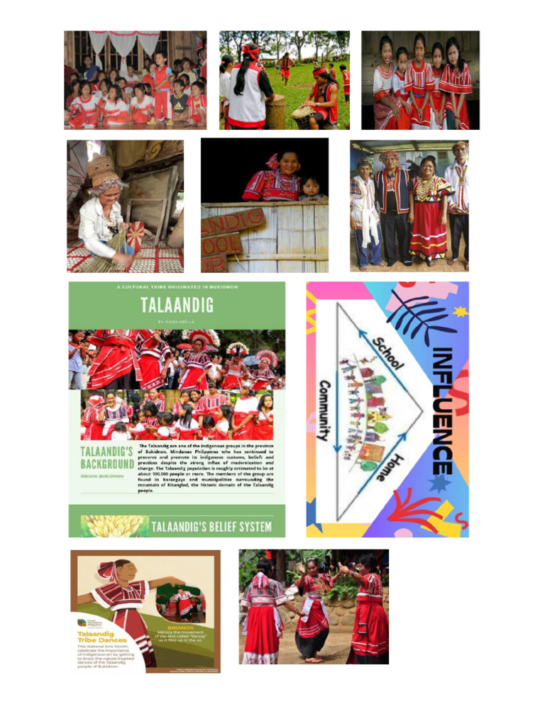 Ipis | PDF