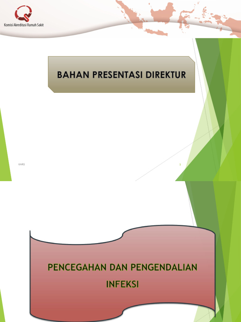 Presentasi Ppi Direktur | PDF