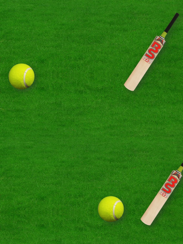 Cricket Bat Animation | PDF