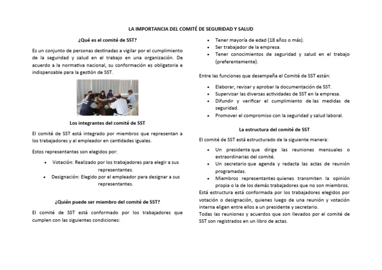 Comité SST: Clave en Seguridad Laboral | PDF | Gobierno