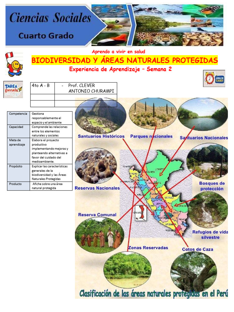 Ficha Reforzamiento #1 de CCSS | PDF | Biodiversidad | Los bosques
