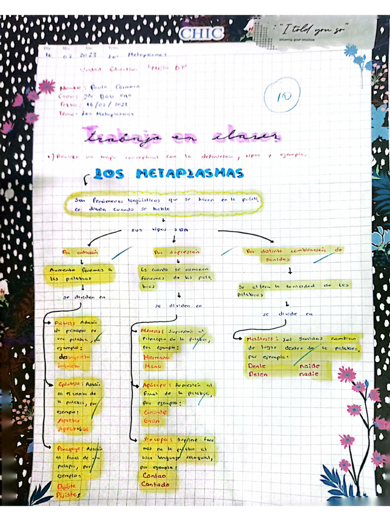Los Metaplasmas | PDF