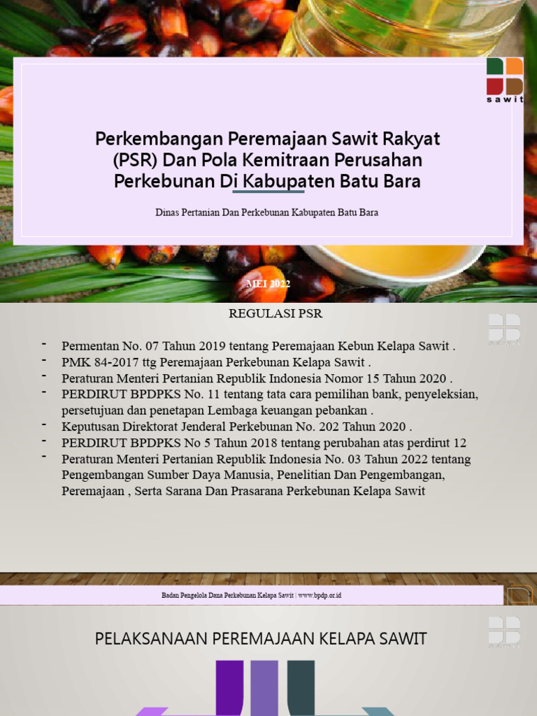 Peremajaan Sawit Rakyat di Batu Bara | PDF | Teknologi & Rekayasa