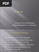 Perfil Torch | Infección | Salud pública | Prueba gratuita de 30 días ...