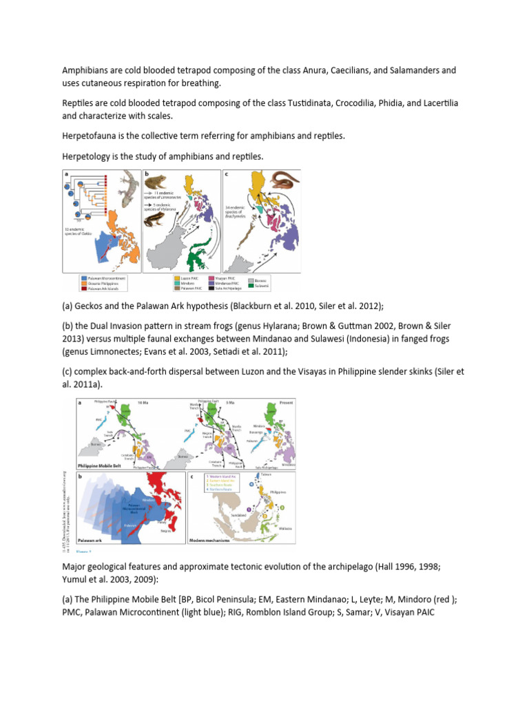 Amphi Exam | PDF | Reptile | Conservation Biology