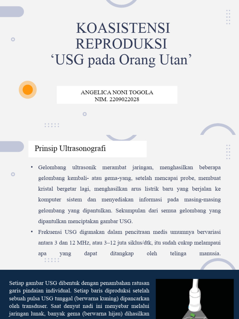 Repro USG 1 1 | PDF