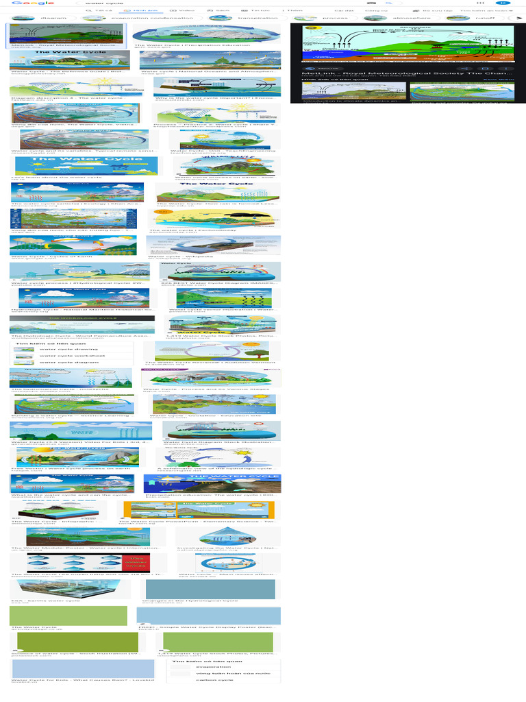 water cycle - Google Tìm kiếm | PDF | Water Cycle | Water