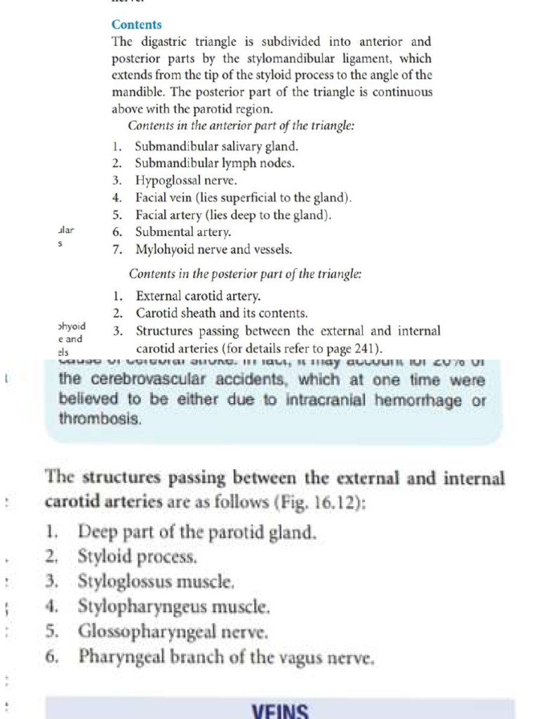 Contents of Digastric Triangle | PDF