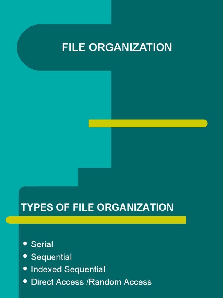 File Organization | PDF | Computer File | File System