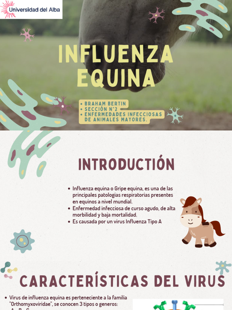 Influenza Equina: Epidemiología y Manejo | PDF | Influenza | Virus