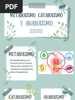 Dextrogira y Levogira en Química Orgánica | PDF | Chiralidad (Química ...