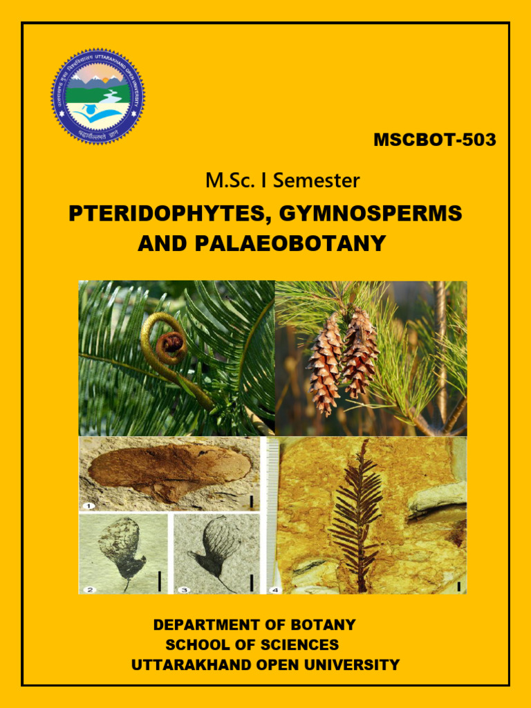 Mscbot 503 | PDF | Spore | Fern