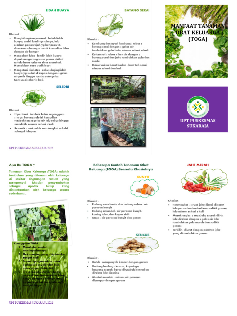 Leaflet Toga SUKARAJA | PDF