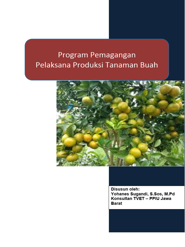Skema - Program Pemagangan - Pelaksana Budidaya Tanaman Buah | PDF