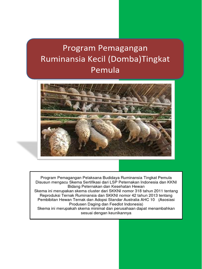 Skema - Program Pemagangan - Budidaya Ruminansia Pemula Domba | PDF