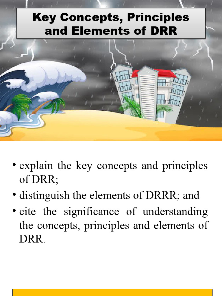 Key Concepts, Principles, and Elements of DRR | PDF | Disaster Risk ...
