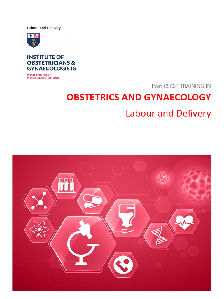 18.obstetrics and Gynaecology - Labour and Delivery Autor Institute of ...