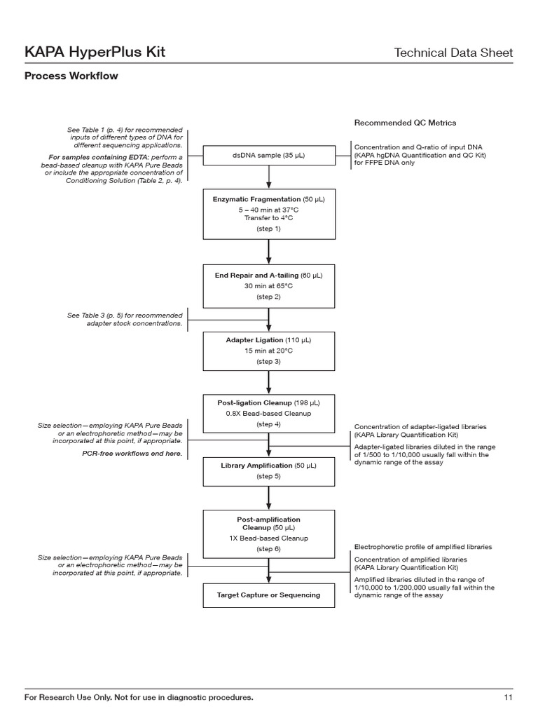KAPA HypePlus Custom | PDF