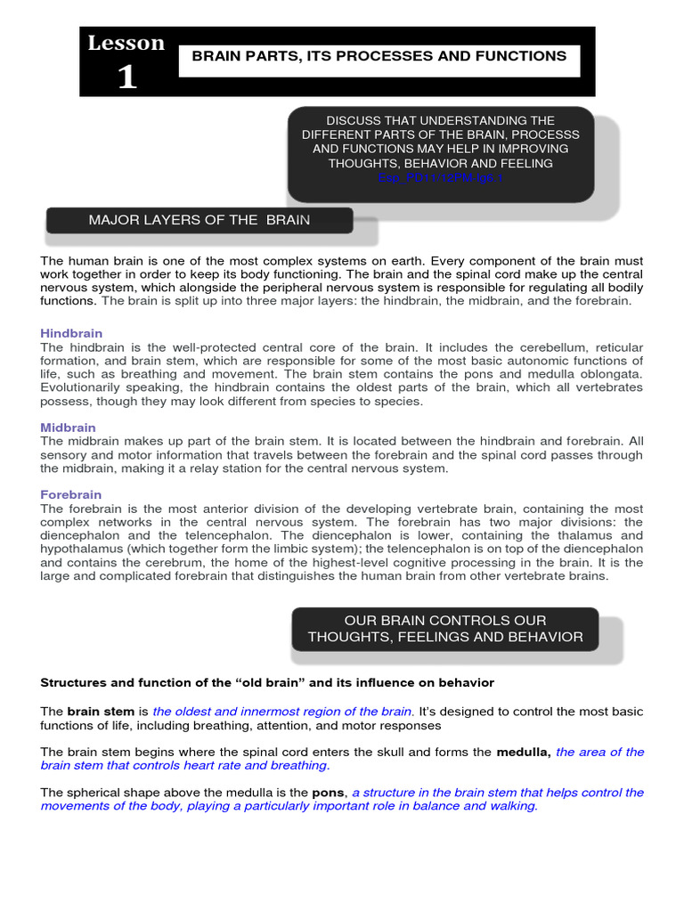 Perdev Mod 5 Powers of The Mind | PDF | Central Nervous System | Brainstem