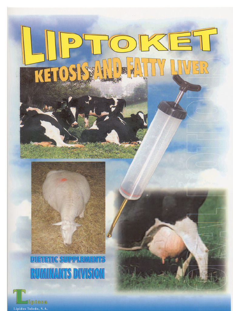Lipto Ket | PDF